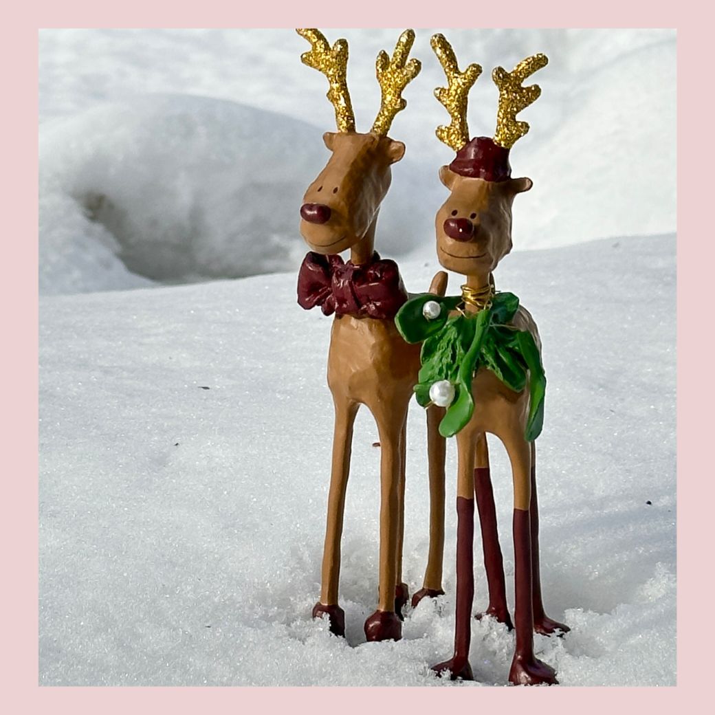 Rudolf – Medusa Copenhagen